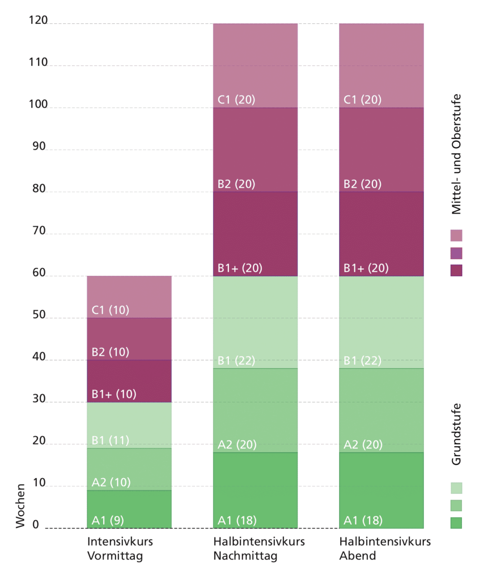 Die Stufen unserer Sprachschule - Bellingua